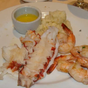 Alligator fritters | Cruise Addicts Message Board Forums